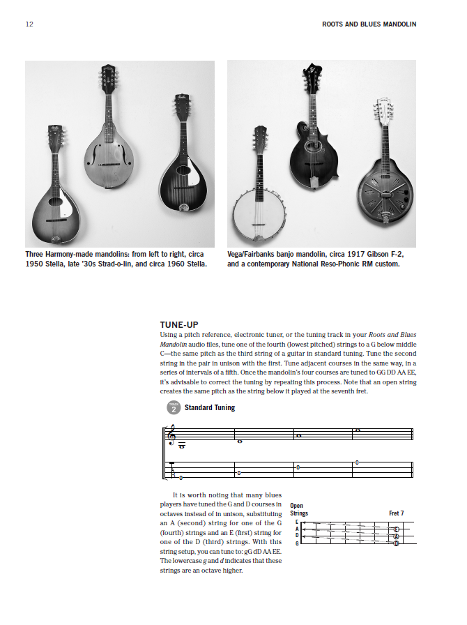 stella harmony mandolin